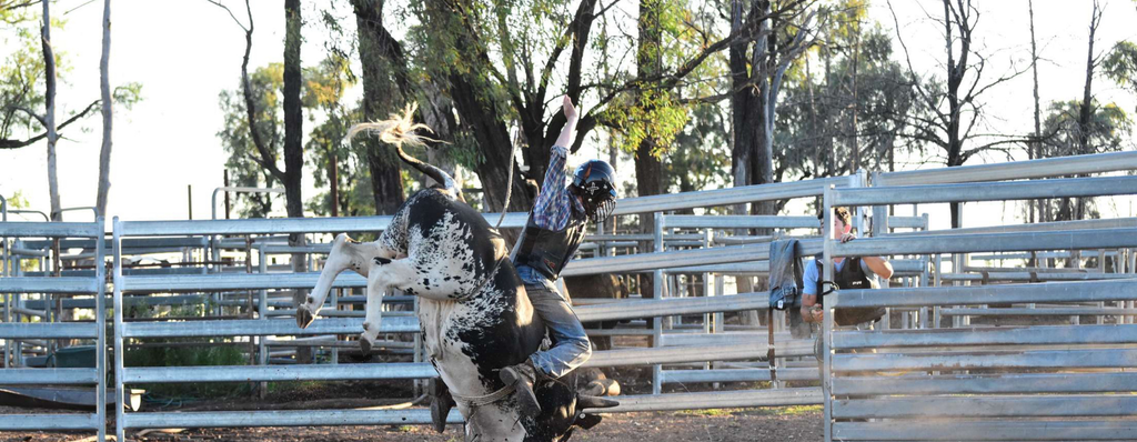 Bull Riding, Comebacks, and Grit: Toby Adams Shares His Journey – PainPod®